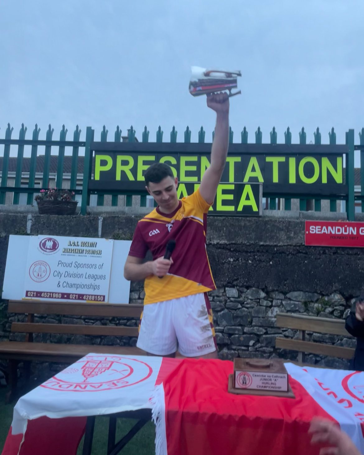 Whitechurch Clinch their first Junior A Hurling Championship Title ...